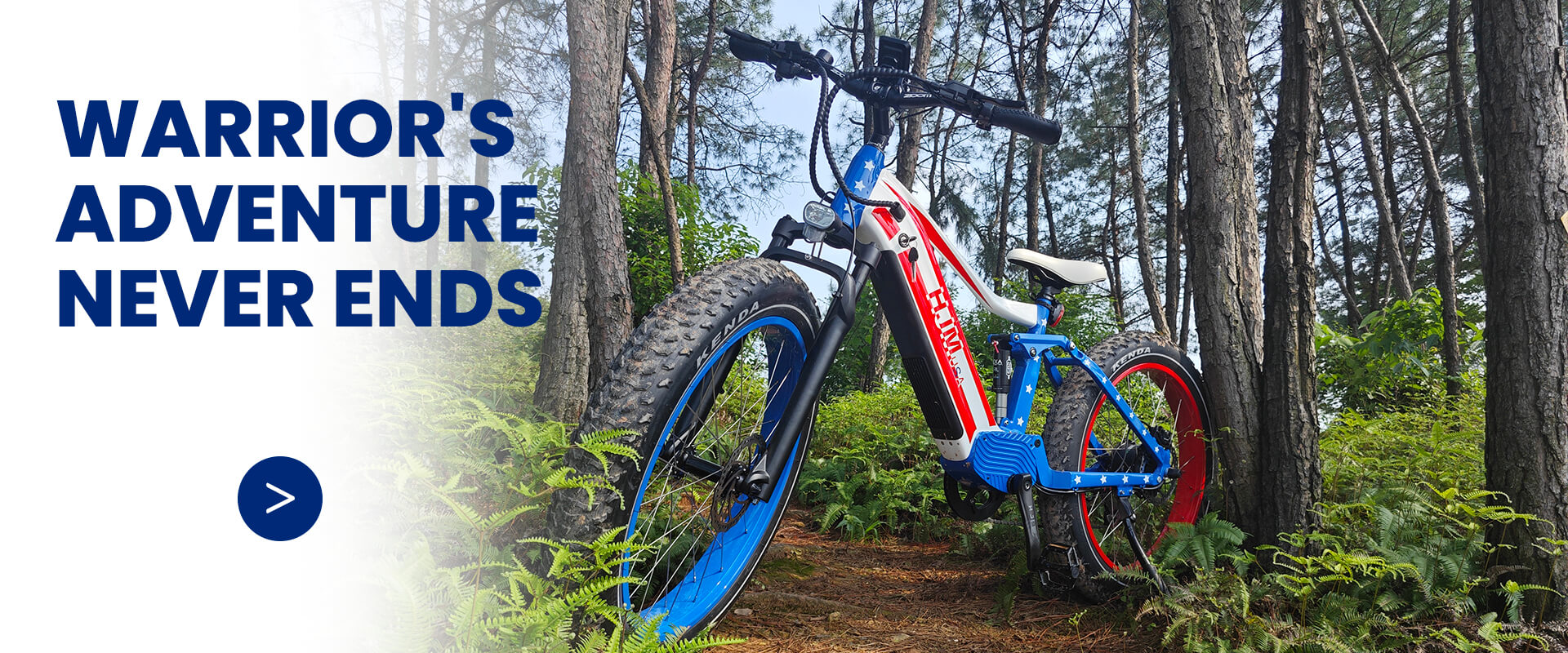 Shop Fat Tire Electric Bike & Accessories | HJM All-terrain Ebike ...