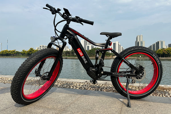 Warrior Full Suspension Fat Tire Ebike 1000W (Fully Assembled ...