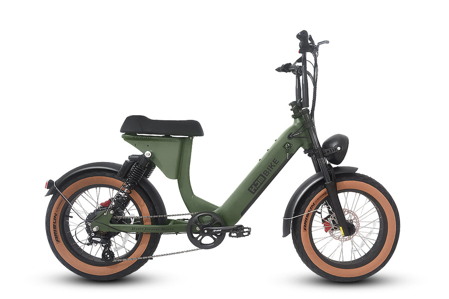 Shop Fat Tire Electric Bike & Accessories | HJM All-terrain Ebike ...